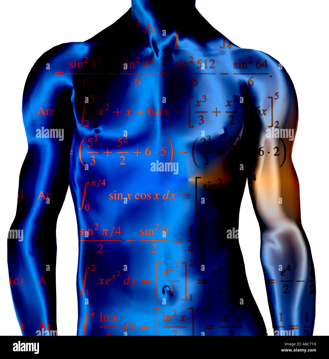 3D computer generated male torso with mathematical symbols projected on ...