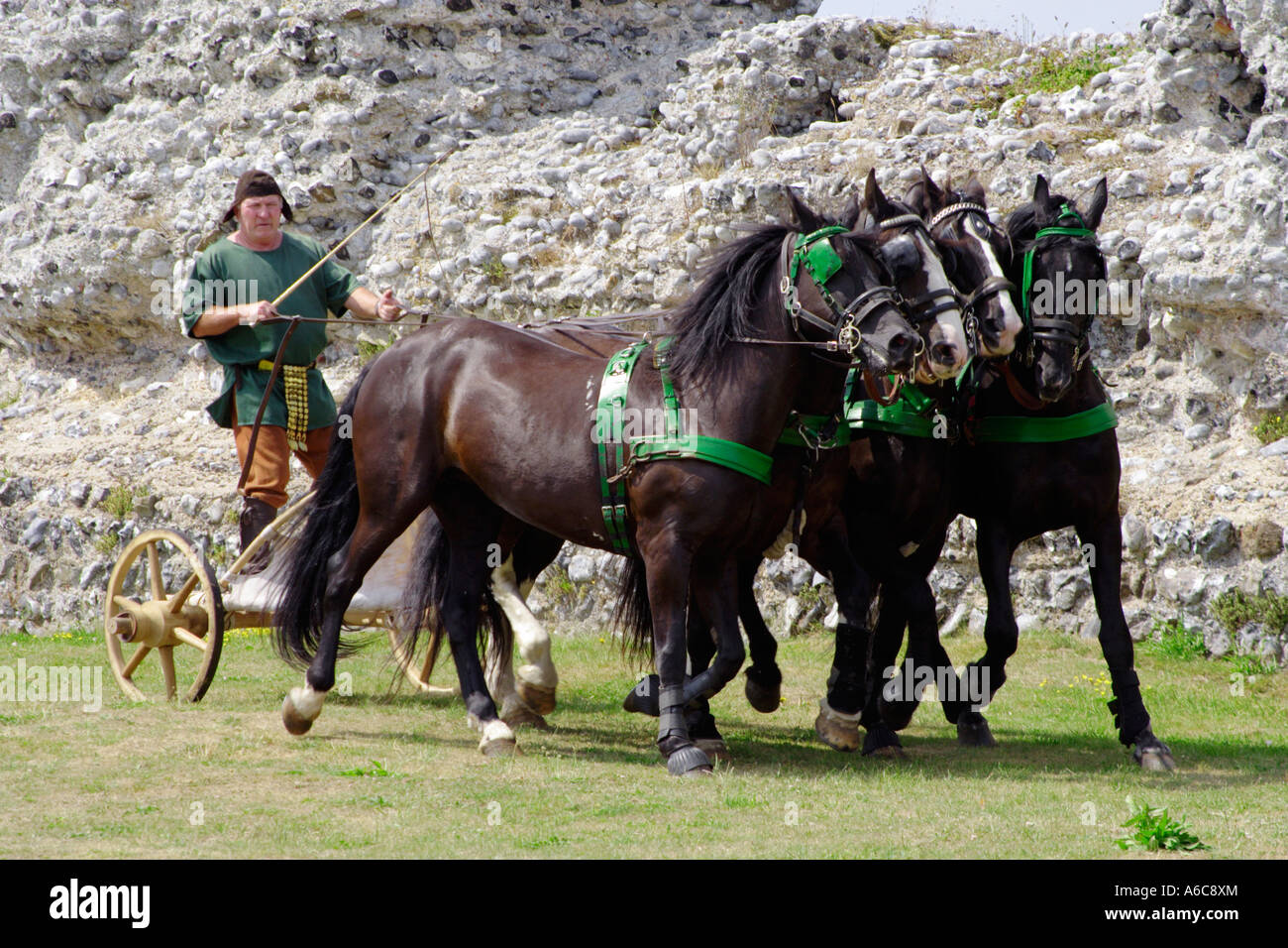 Roman chariot man dressed up hi-res stock photography and images - Alamy