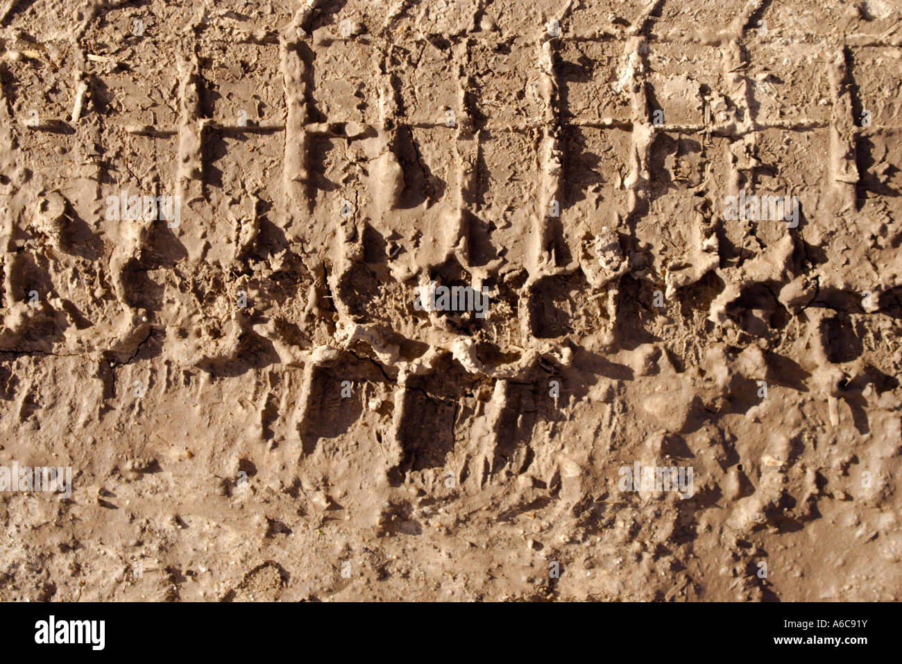 tire track in mud view from above Stock Photo - Alamy