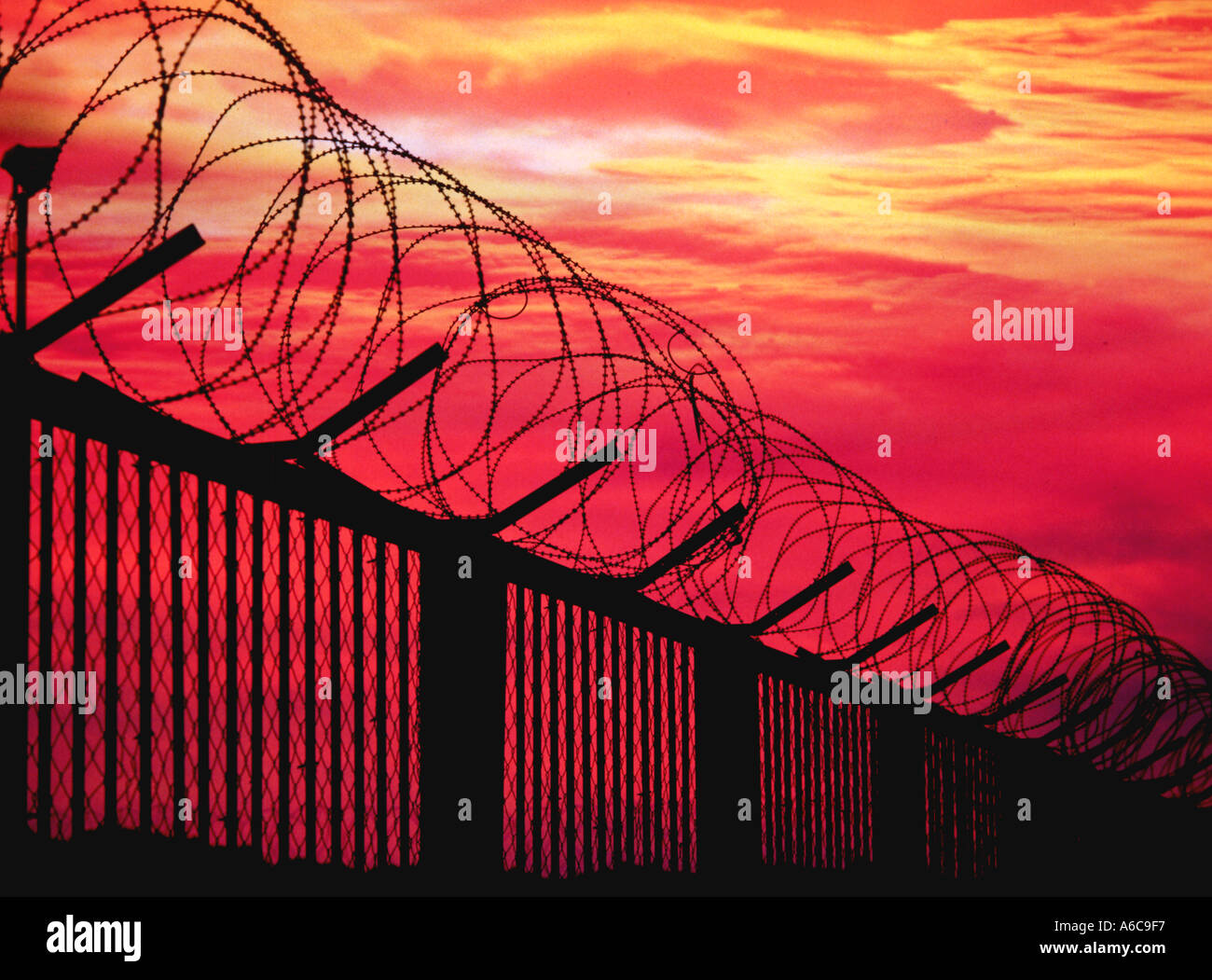 fence fence post spike barb barrier Stock Photo - Alamy