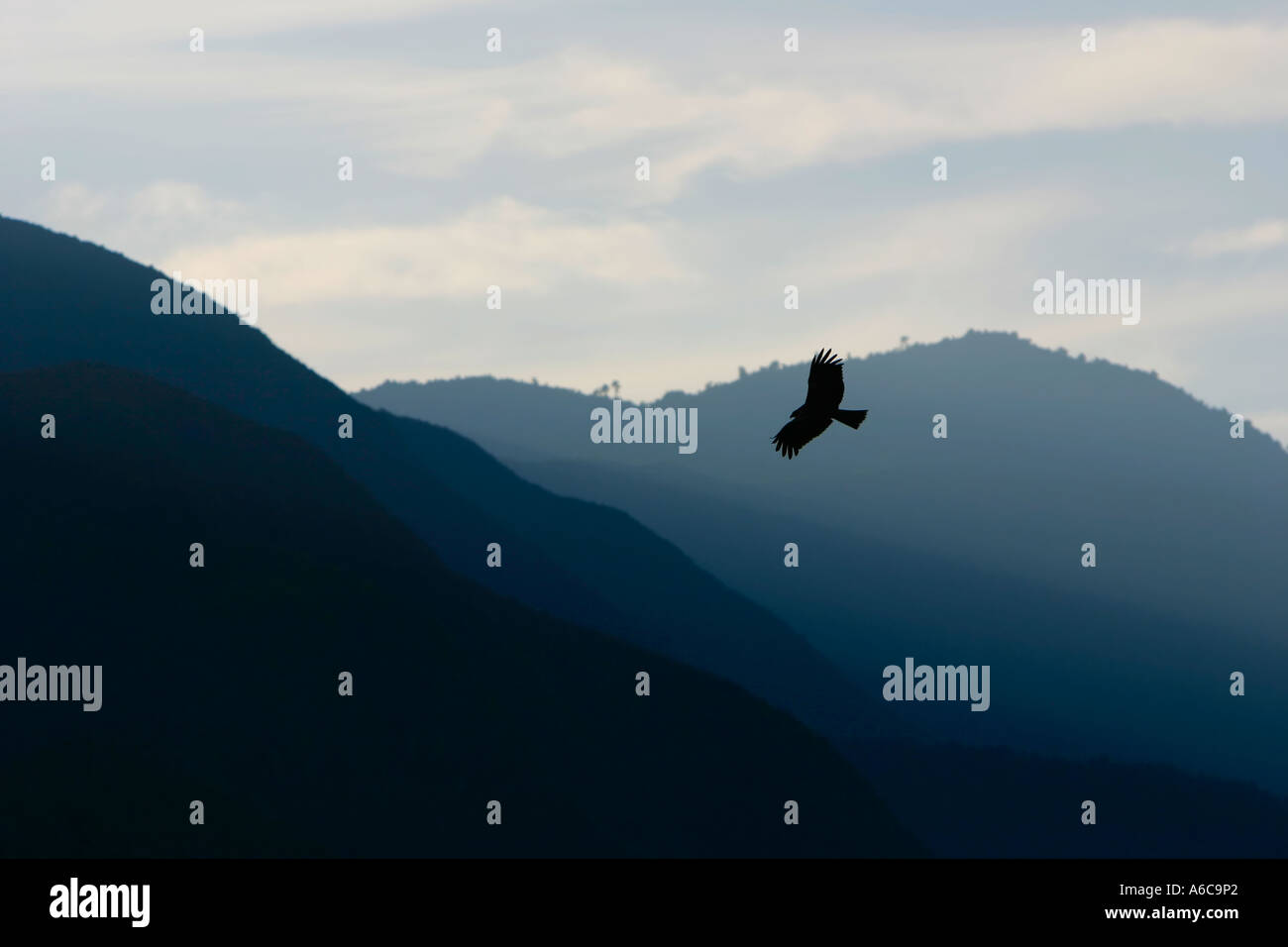 Nepal kite hi-res stock photography and images - Alamy