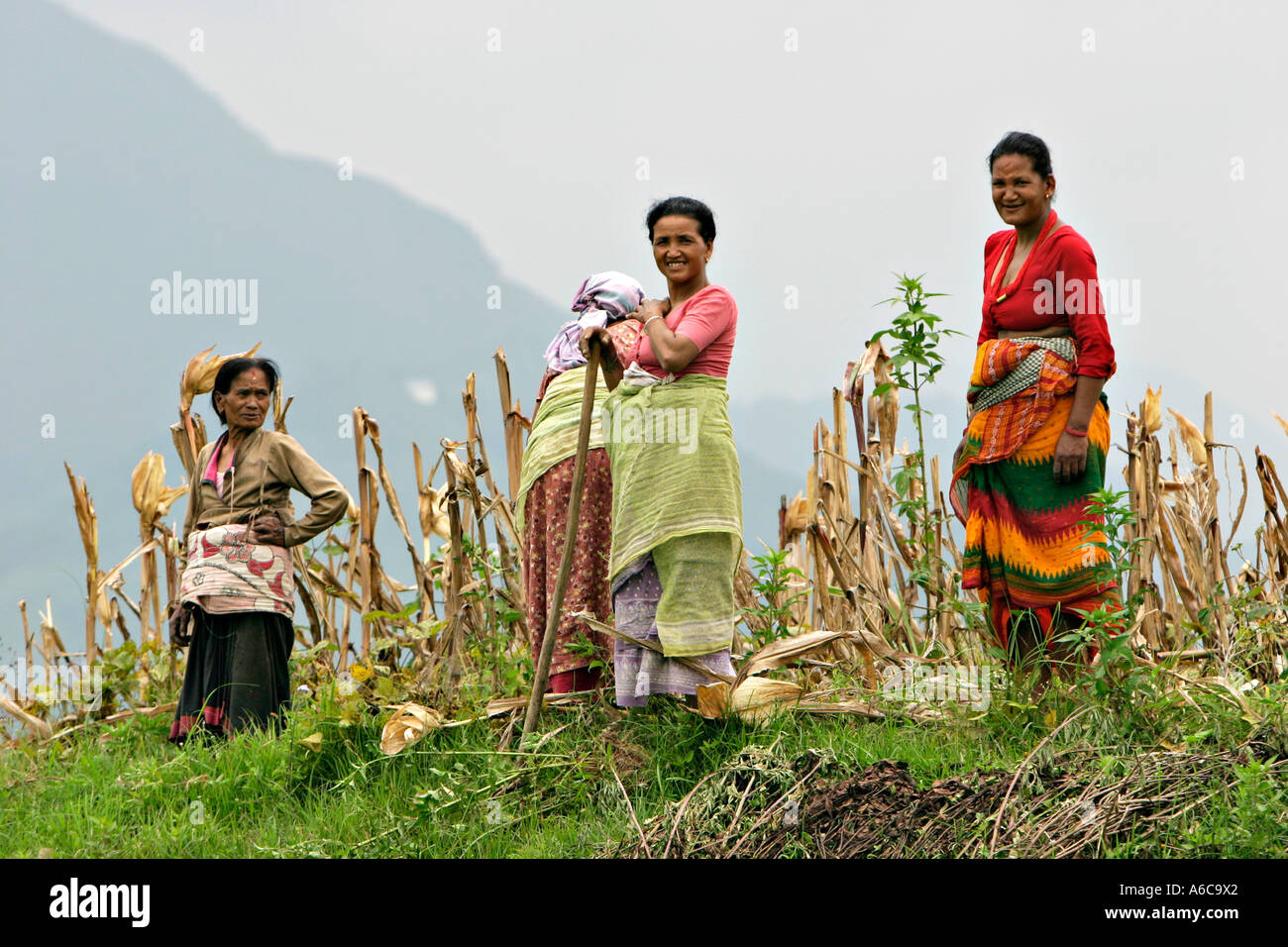 Medieval farm labour hi-res stock photography and images - Alamy