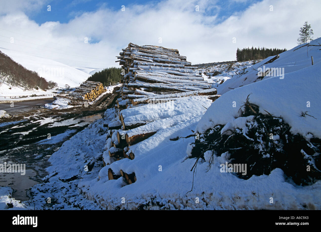 Forestry commission scotland hi-res stock photography and images - Alamy