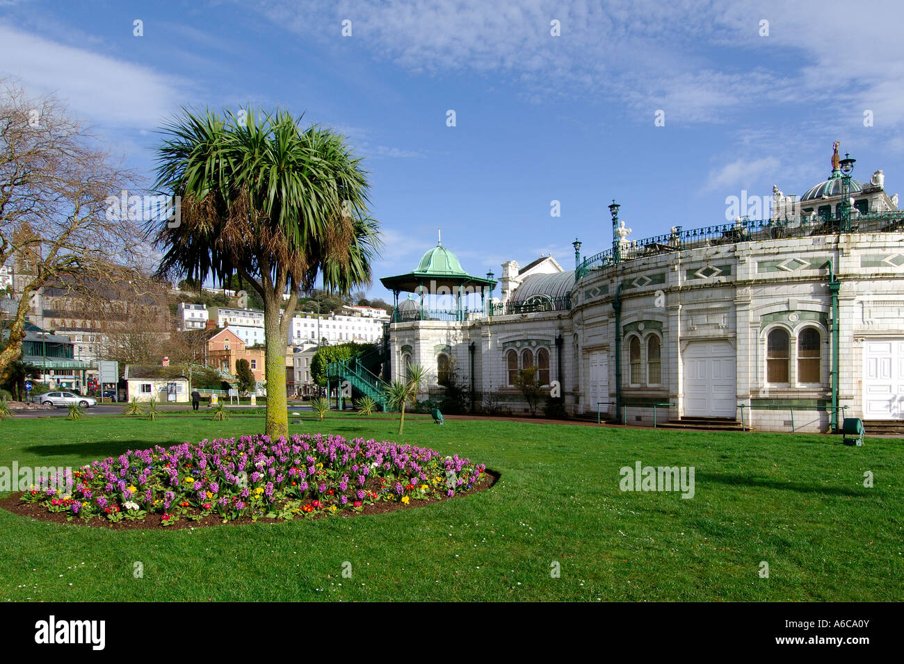 Torbay palm tree hi-res stock photography and images - Alamy