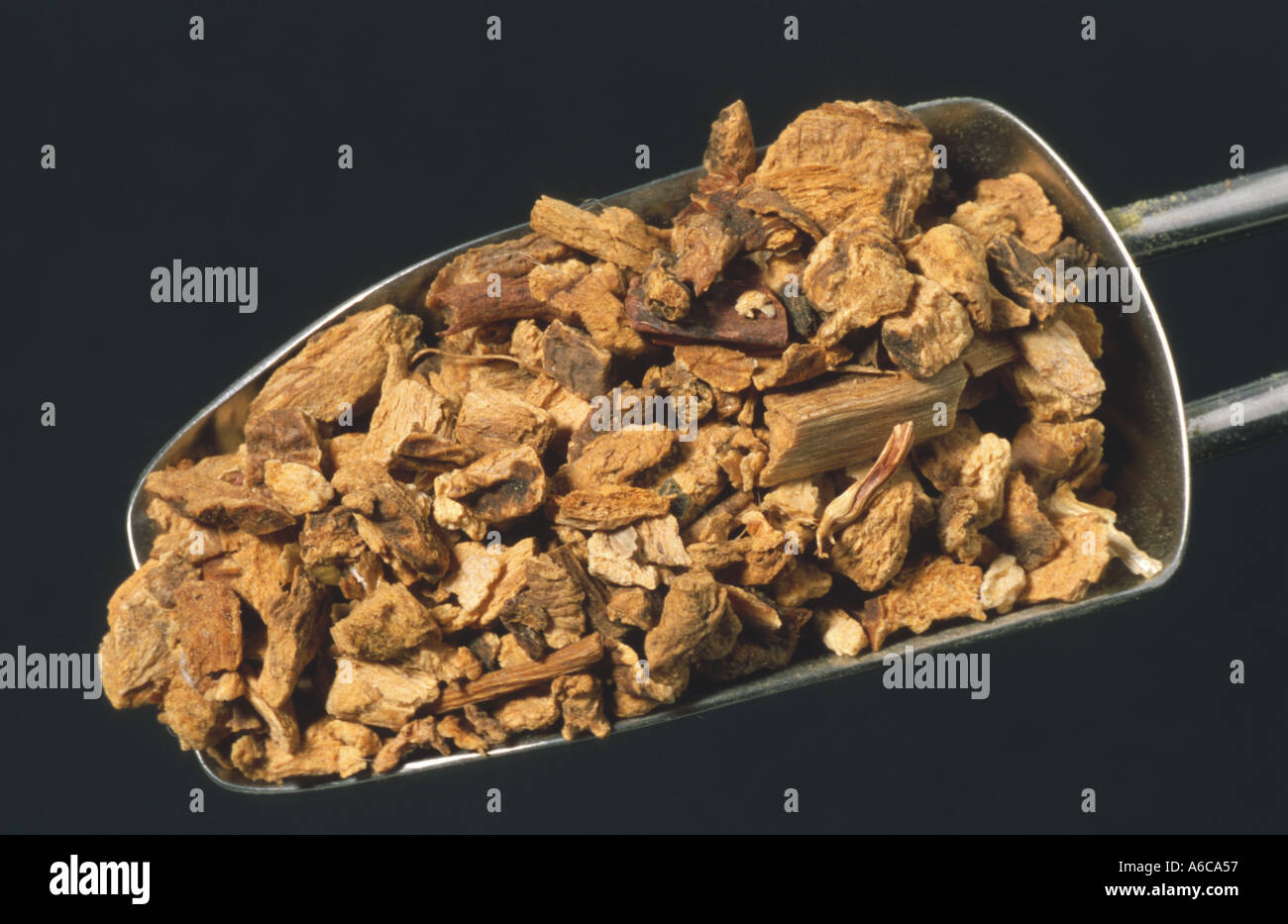 Gentiana lutea Enzian Gentian roots dry dried medicinale use tea ...