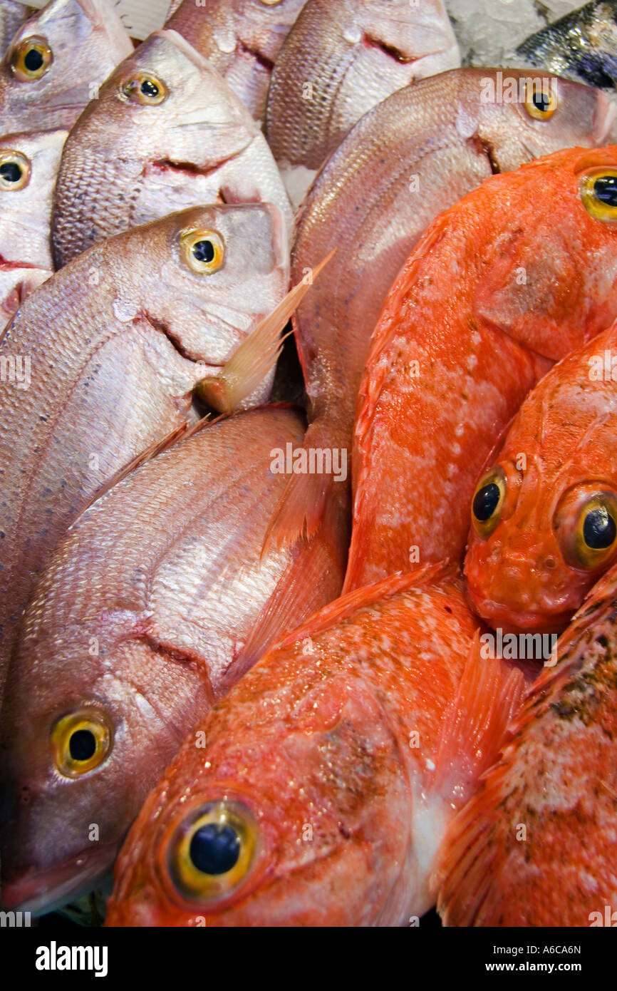 brecas y rascacios peces fish Stock Photo - Alamy