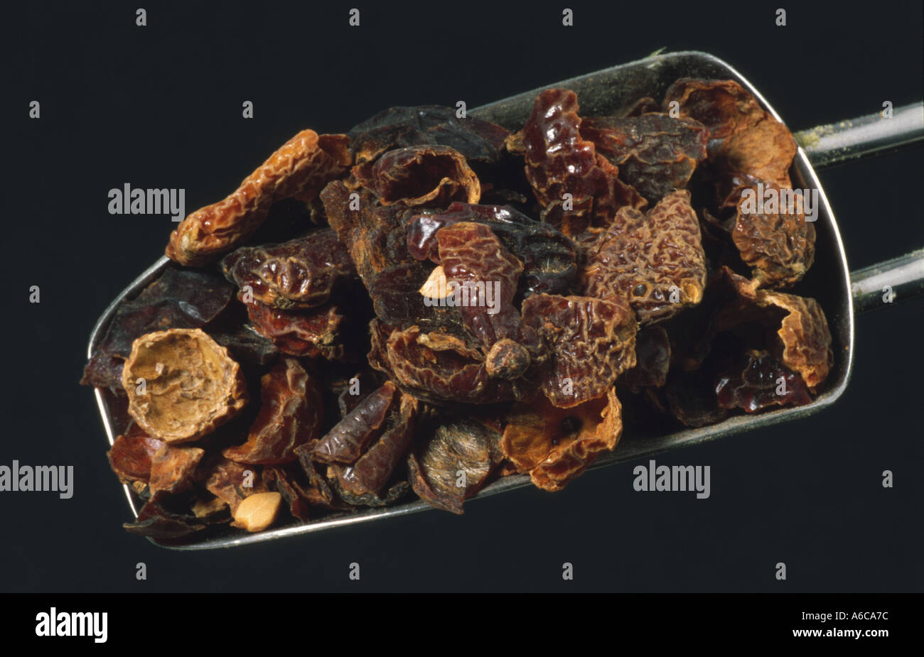 Rosae pseudofructus hi-res stock photography and images - Alamy