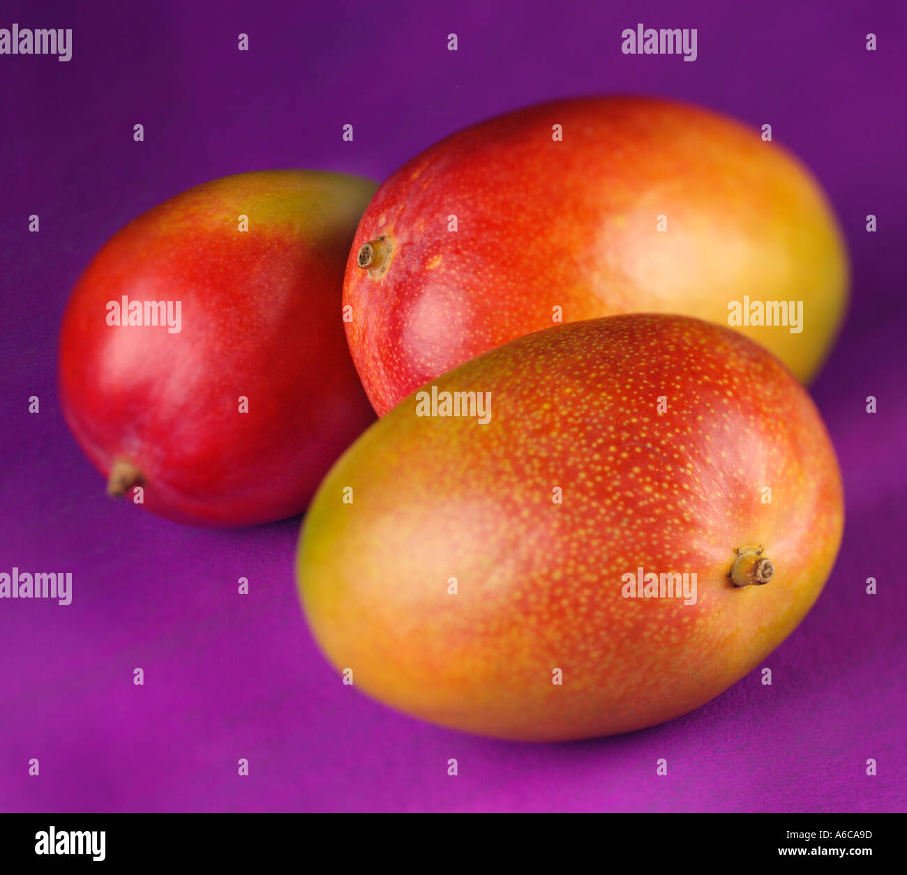 Purple mangoes hi-res stock photography and images - Alamy