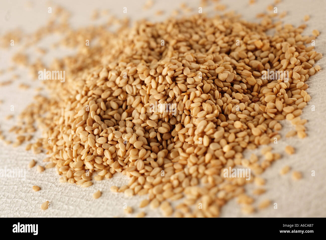TILL SEEDS OR SESAME SEEDS Stock Photo - Alamy