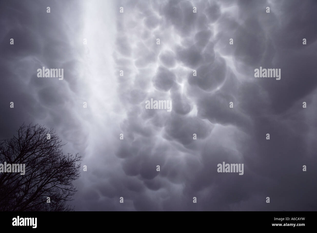 Mammatus on the underside of a storm cloud Stock Photo - Alamy
