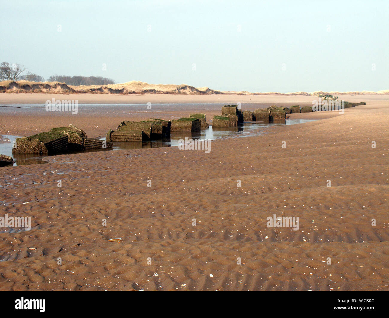 Tank traps on the Beach Stock Photo - Alamy