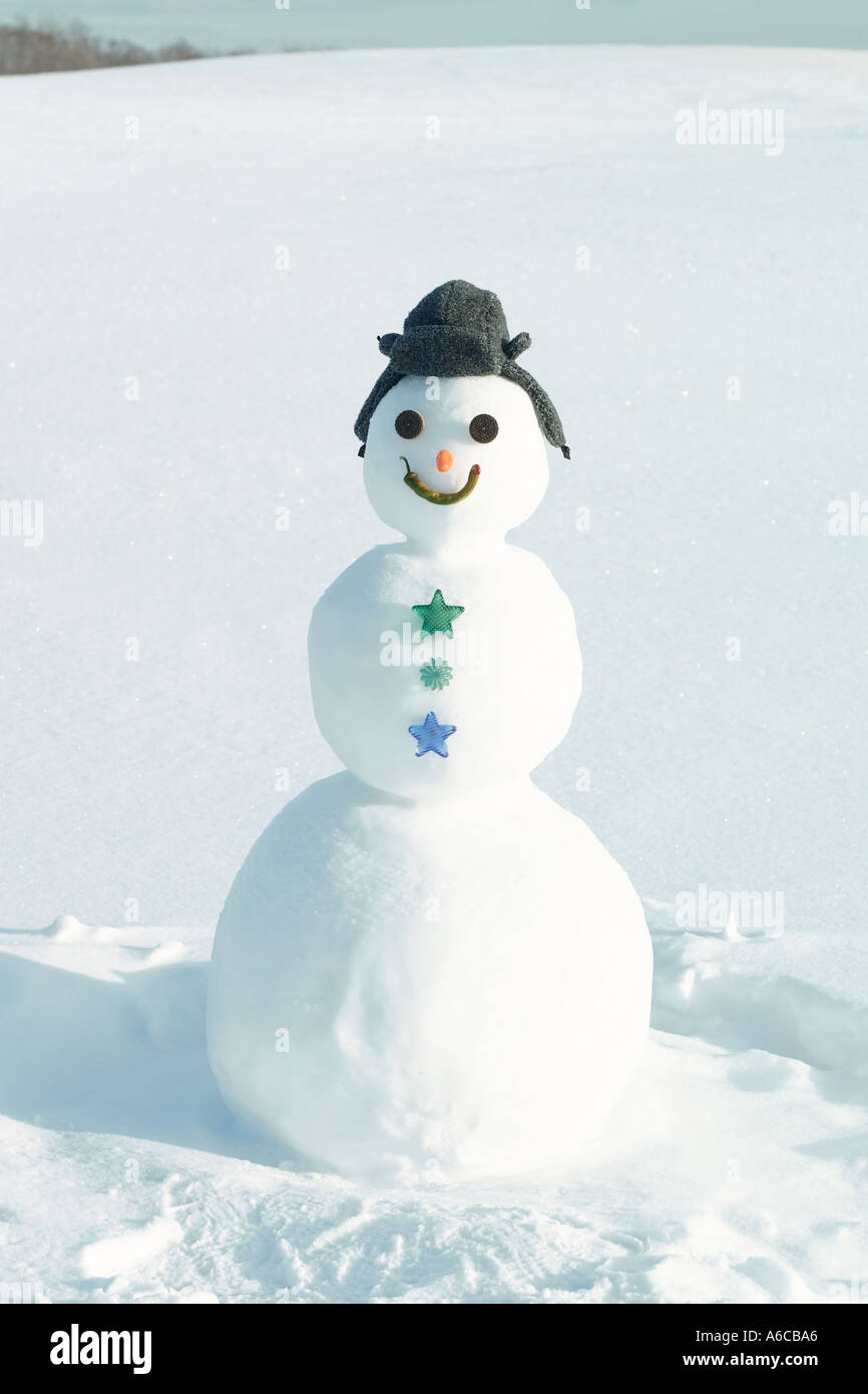 Dressed Up Snowman Stock Photo - Alamy