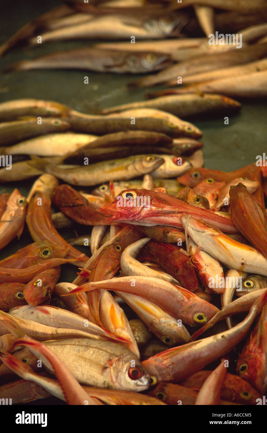 Split fish hi-res stock photography and images - Alamy