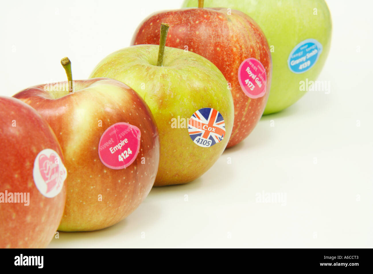 Five Varieties of Apple Stock Photo - Alamy