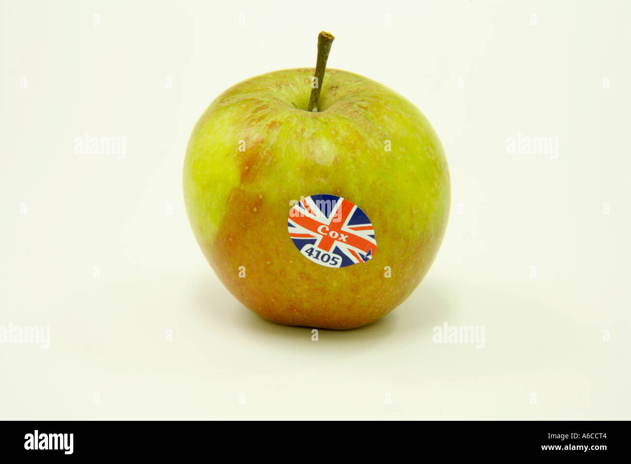 Single Cox Apple with Label Isolated Stock Photo - Alamy