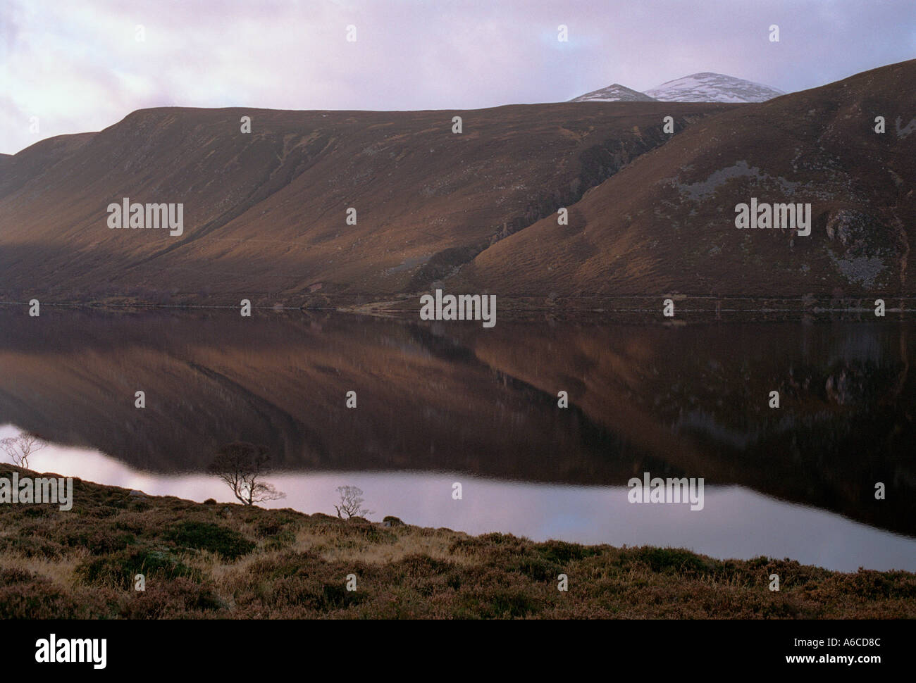 Loch river at dawn hi-res stock photography and images - Alamy