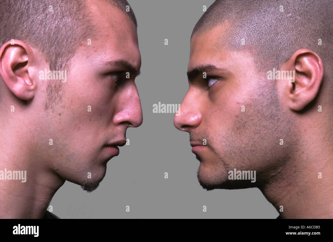 aggression competition confrontation emotion MODEL RELEASED Stock Photo ...