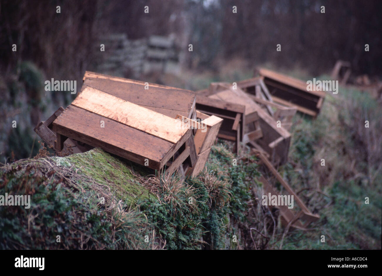 Potato boxes on wall Jersey Stock Photo - Alamy