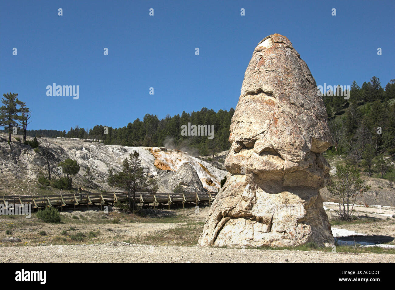 Liberty cap hi-res stock photography and images - Alamy