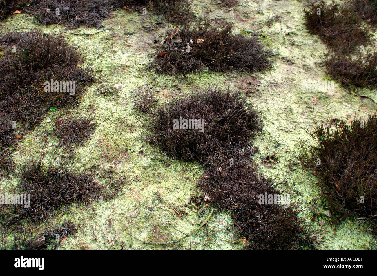 Sodden ground hi-res stock photography and images - Alamy