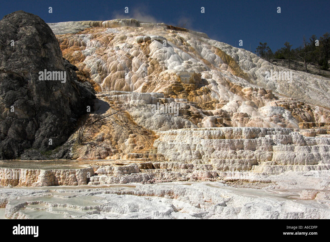 Mammoth Hot Springs, Yellowstone Stock Photo - Alamy
