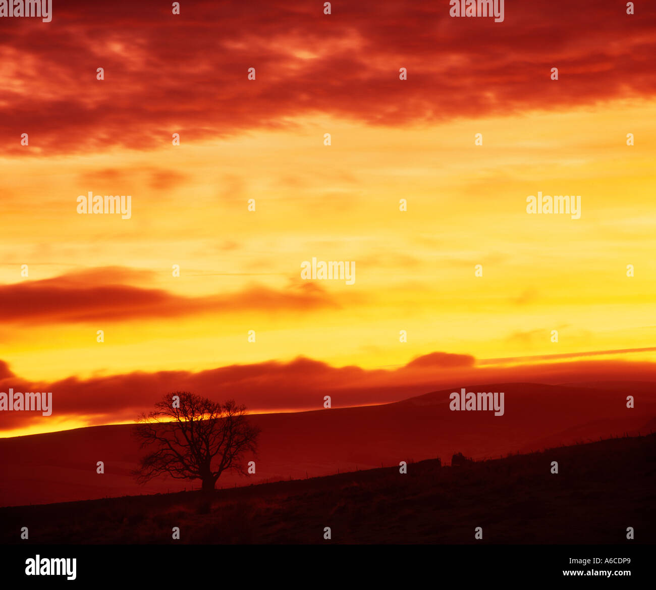 vivid red Sunset over North Yorkshire Moors Stock Photo - Alamy
