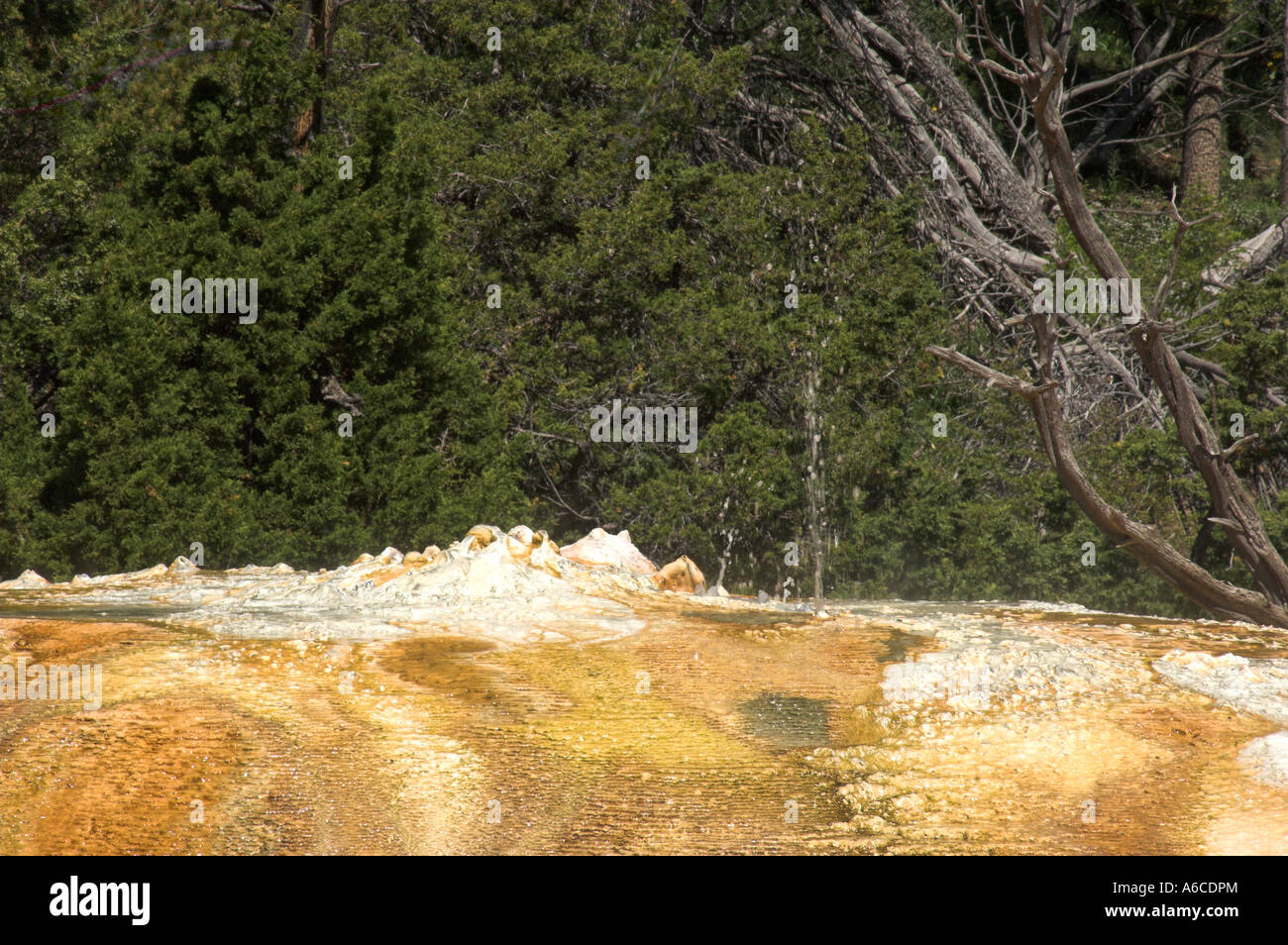 Calcified limestone formation hi-res stock photography and images - Alamy