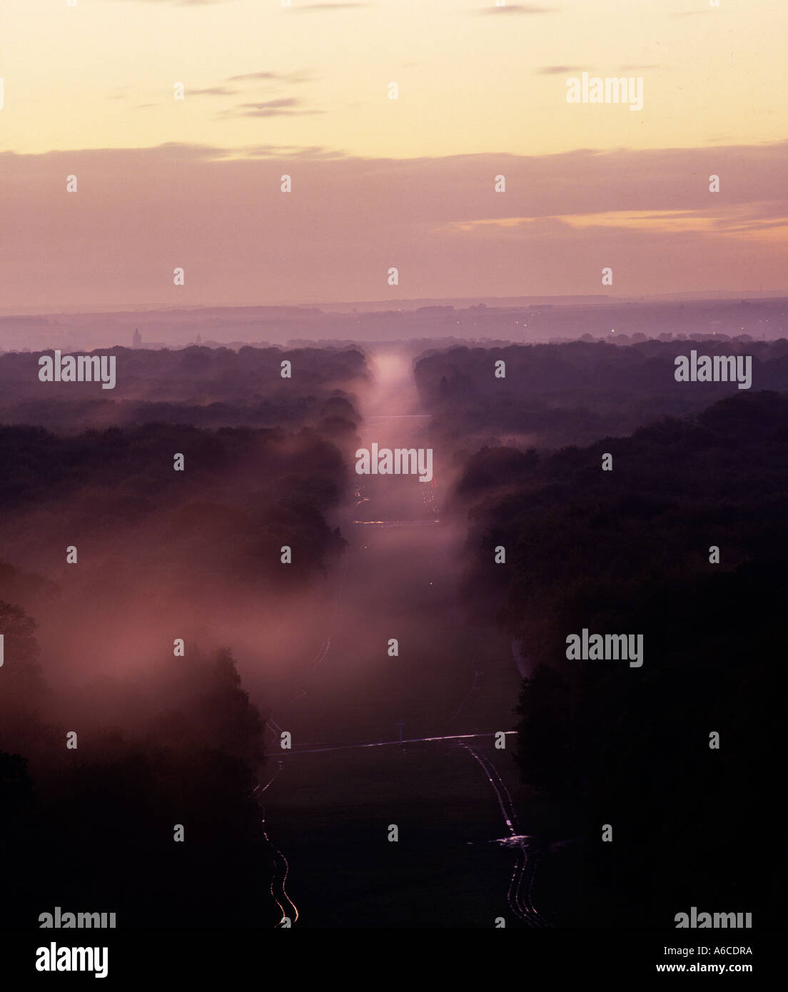 fog drifting over the Compiegne forest in France at sunset which is an ...