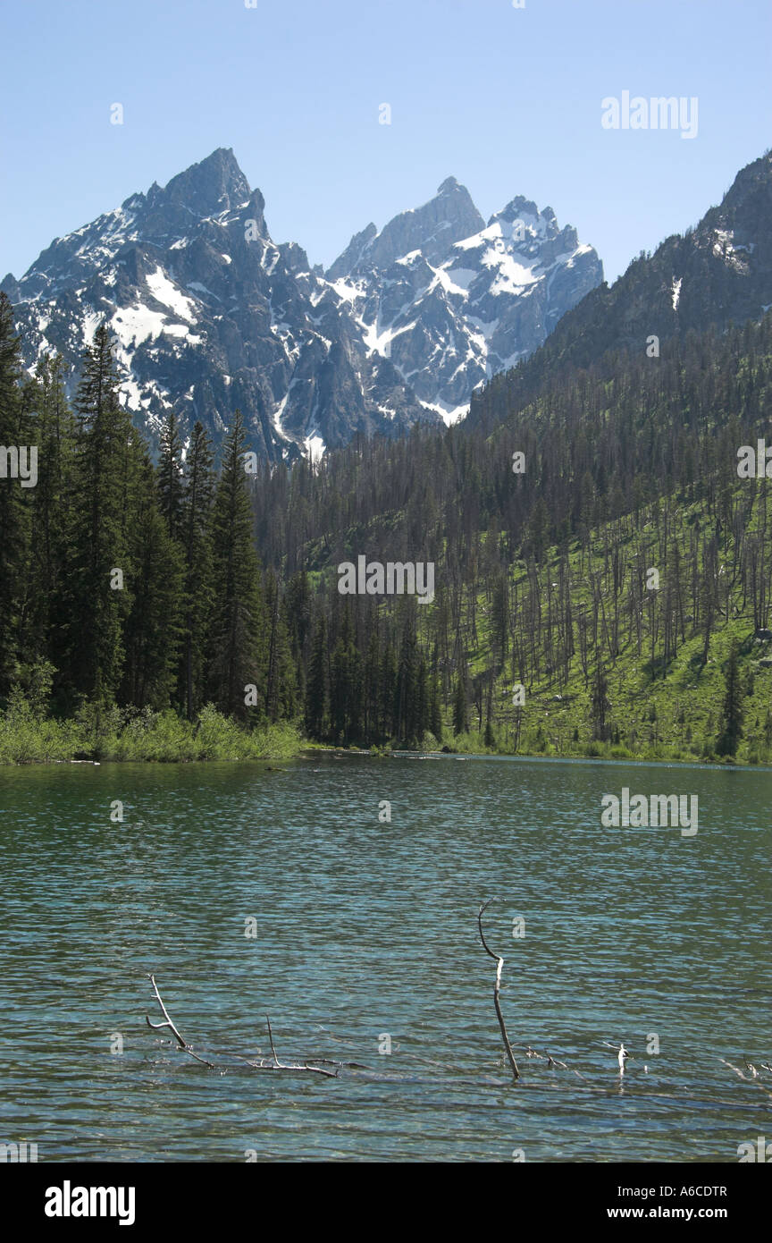 The Tetons from String Lake Stock Photo - Alamy