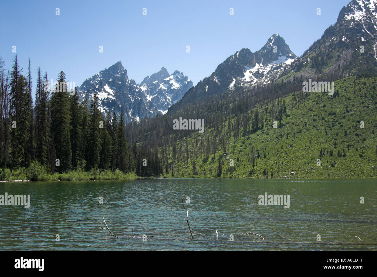 The Tetons from String Lake Stock Photo - Alamy