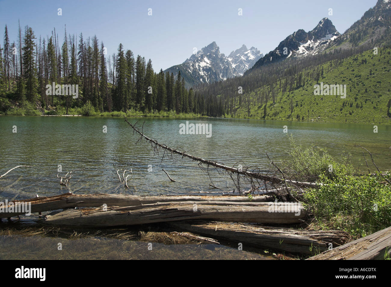 The Tetons from String Lake Stock Photo - Alamy