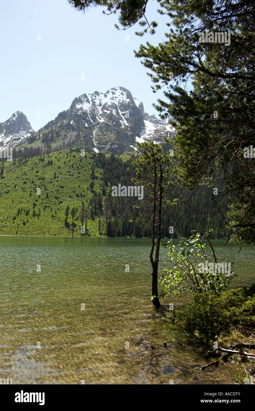 The Tetons from String Lake Stock Photo - Alamy