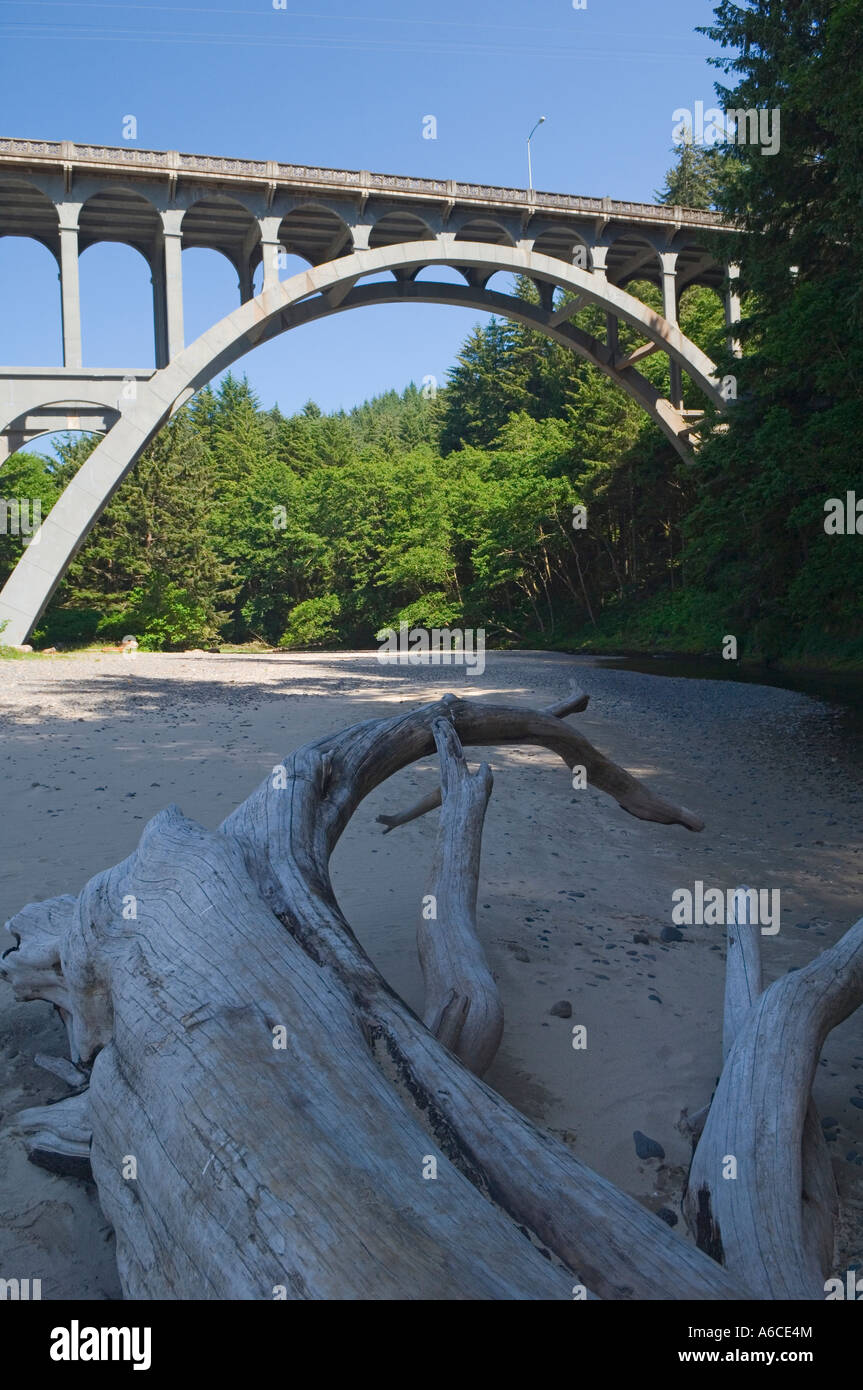 Cape Creek Bridge at Devils Elbow State Park on the Oregon Coast Stock ...