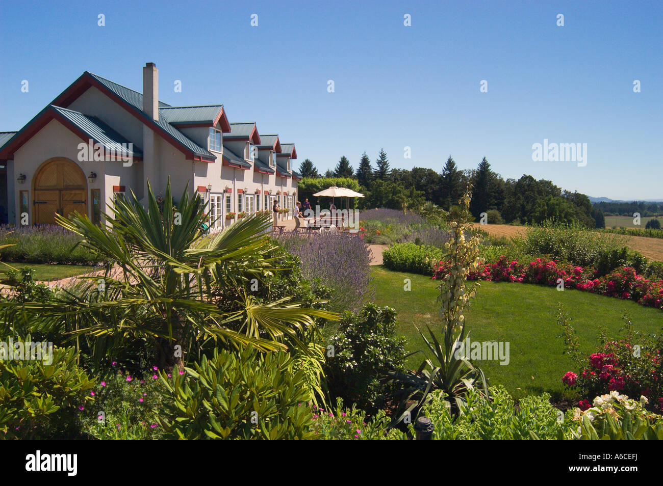 Anne amie vineyards hi-res stock photography and images - Alamy