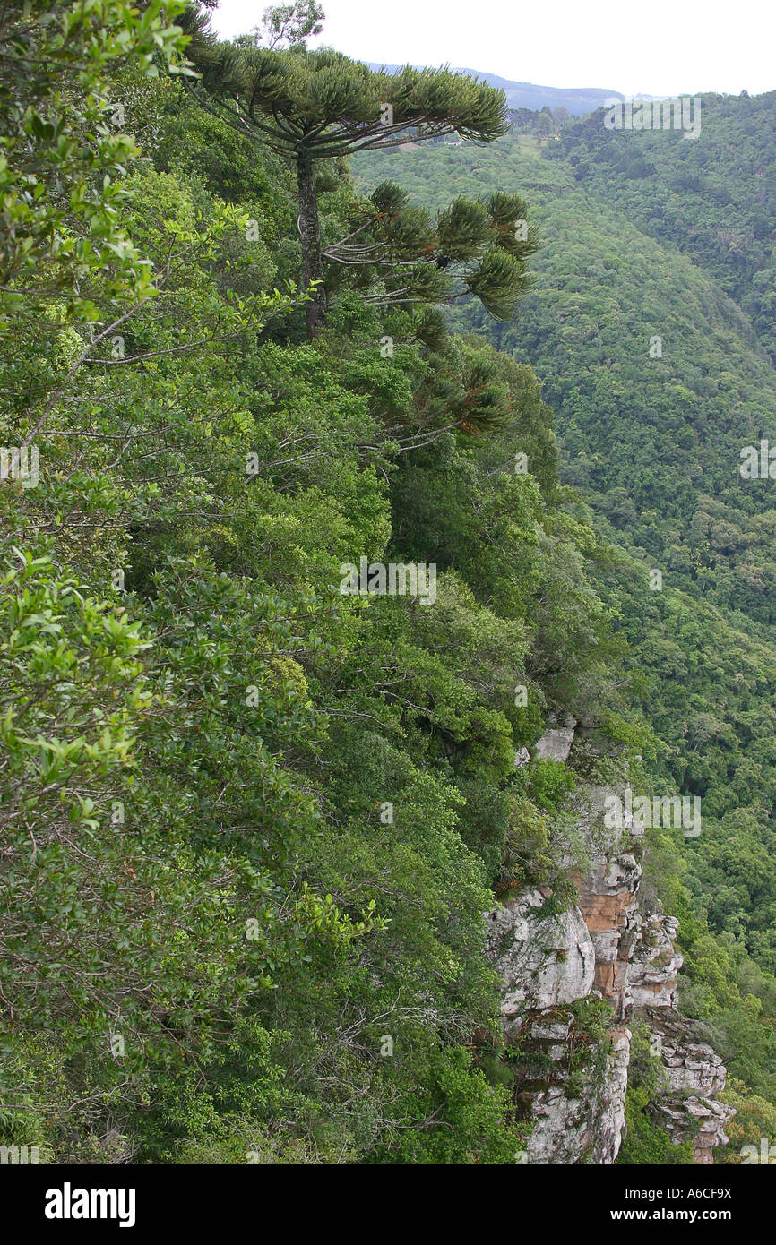 Touristc location: Canela - Rio Grande do Sul Brasil Stock Photo - Alamy