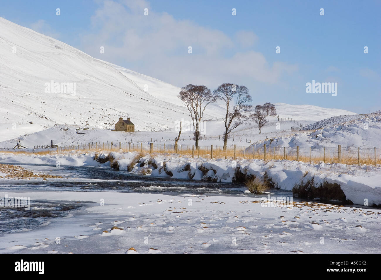 Scottish Winter snow scene with Silver Birch trees scottish cottage ...
