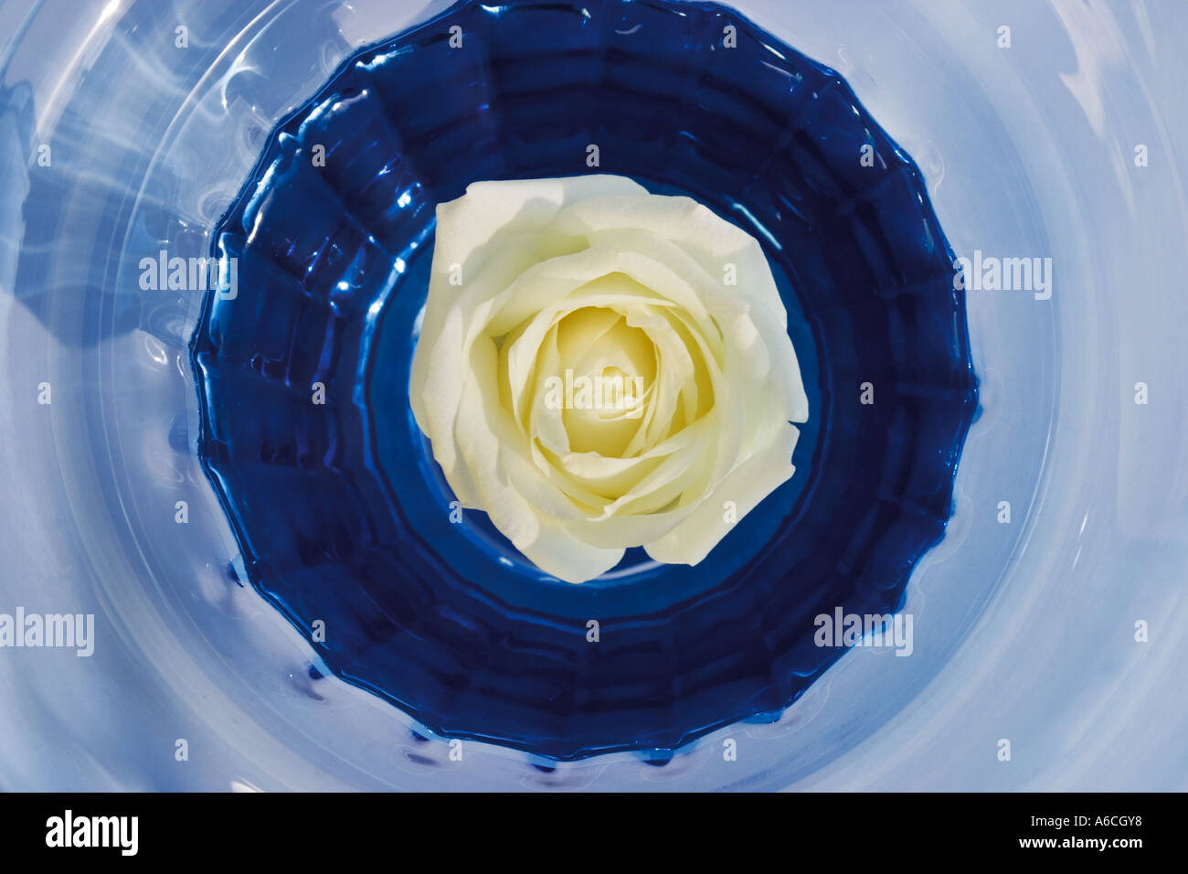 Flower vase on floating hi-res stock photography and images - Alamy