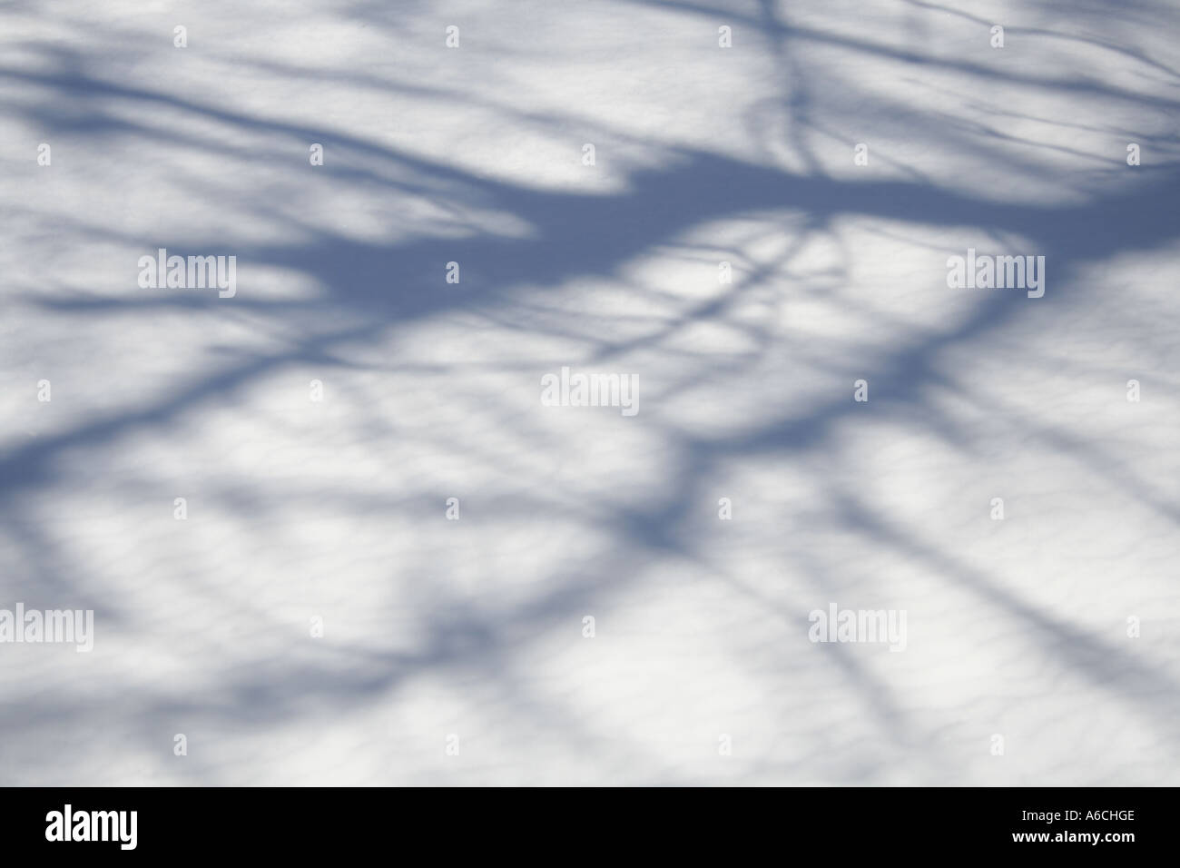 Tree Shadow on Snow Stock Photo - Alamy