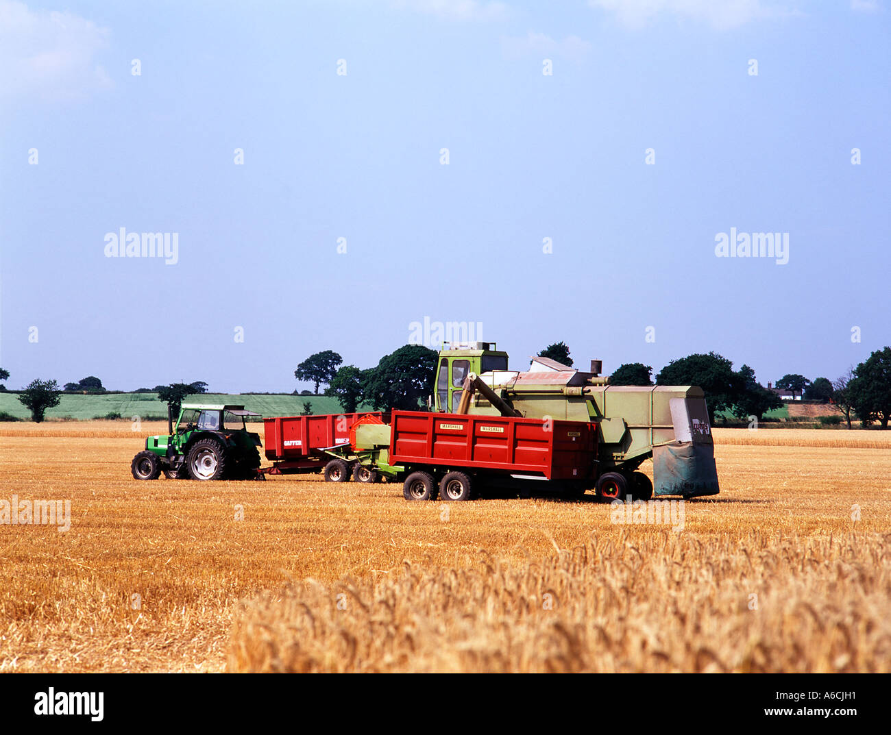 Tractor and trailer in field with combine harvester and stand alone ...