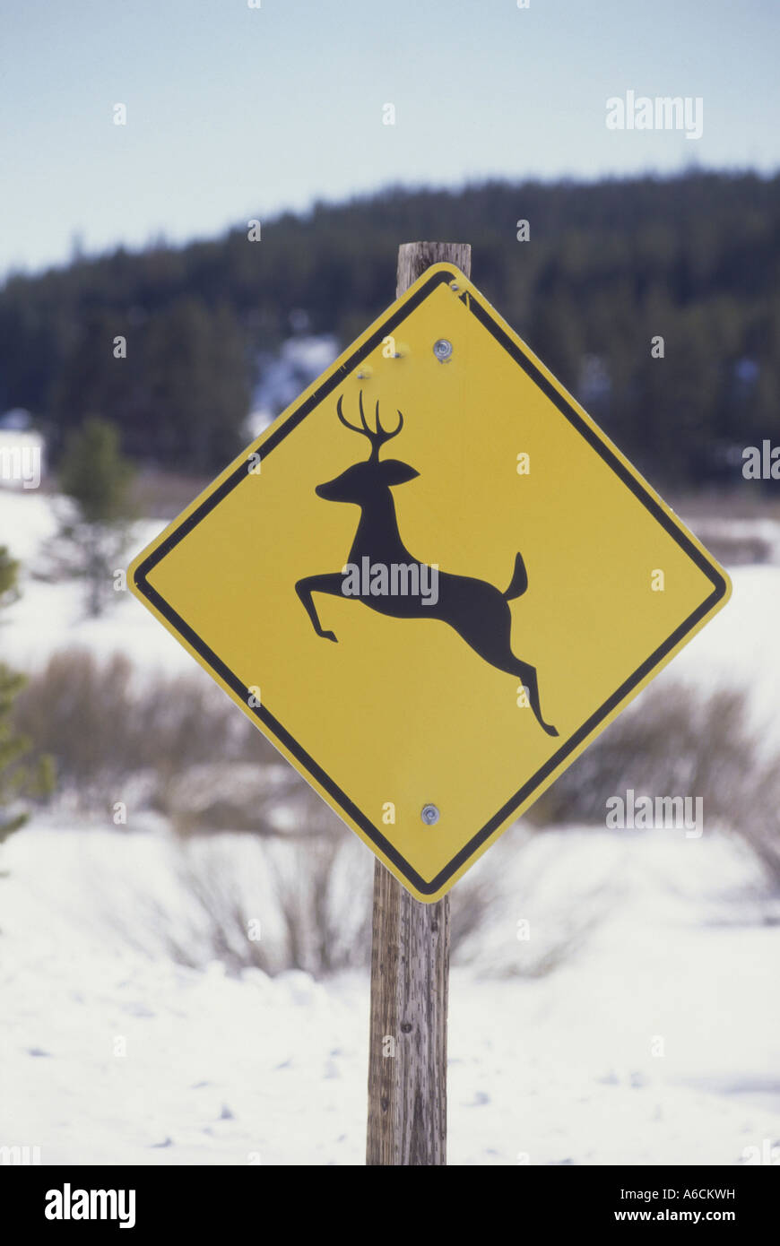 Winter deer crossing sign hi-res stock photography and images - Alamy