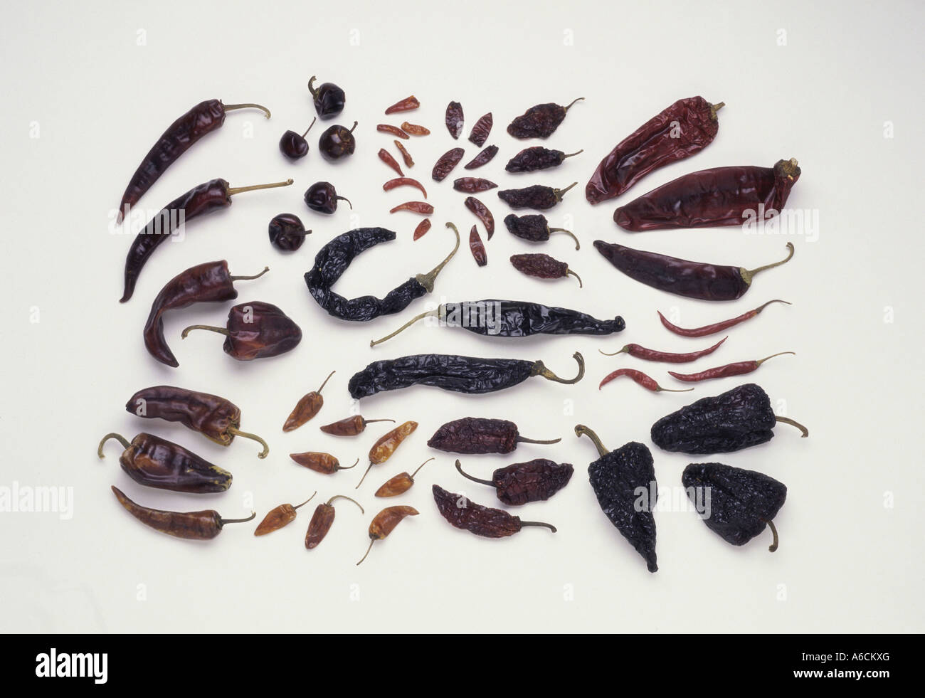 Assorted dried Mexican chilies Stock Photo - Alamy