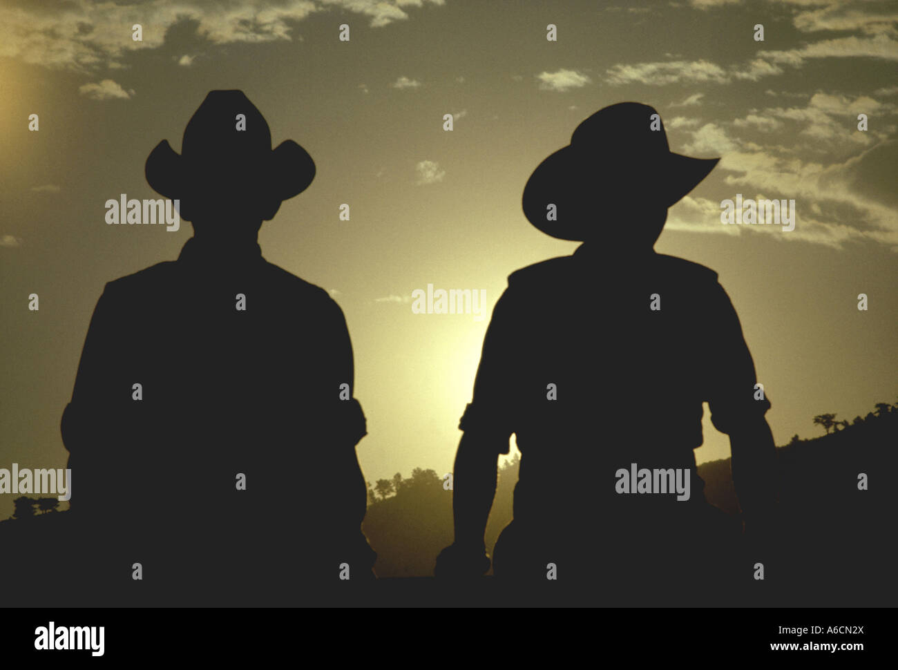 Silhouette of two cowboys, Grover, Colorado, USA Stock Photo - Alamy