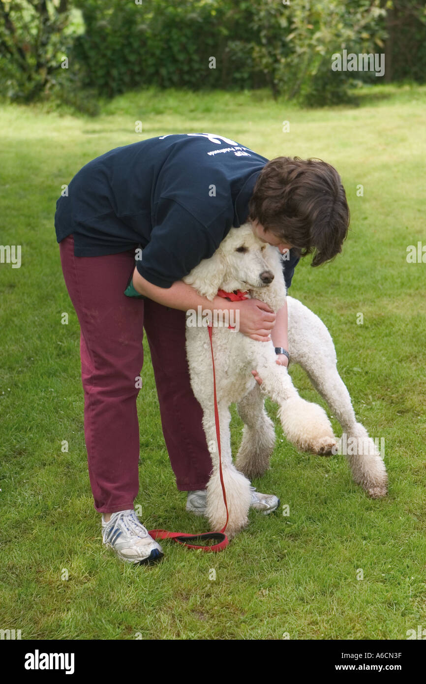 Owner doing stretching exercises with her dog before a poodle race in ...