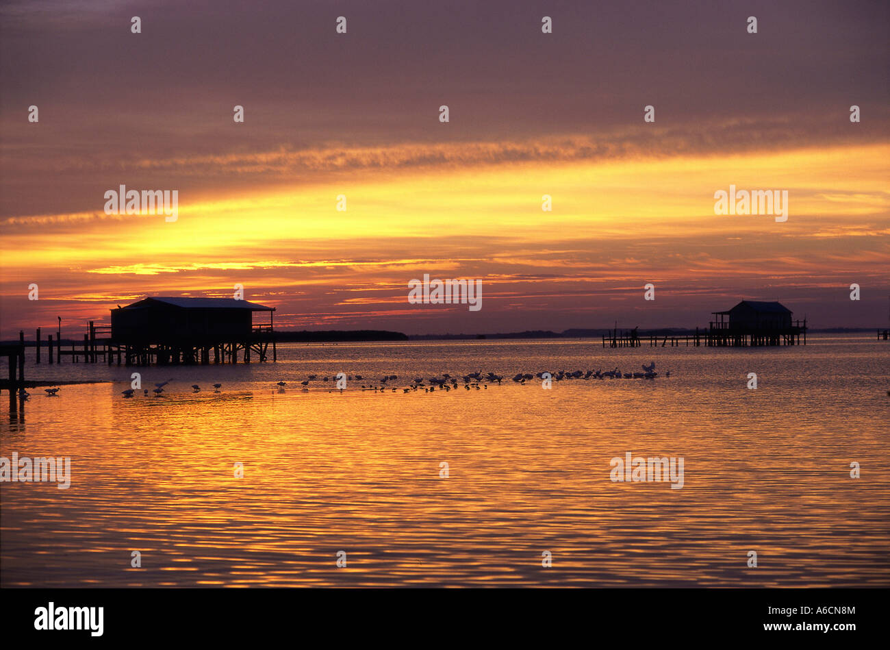 House on the ocean at sunset Stock Photo - Alamy