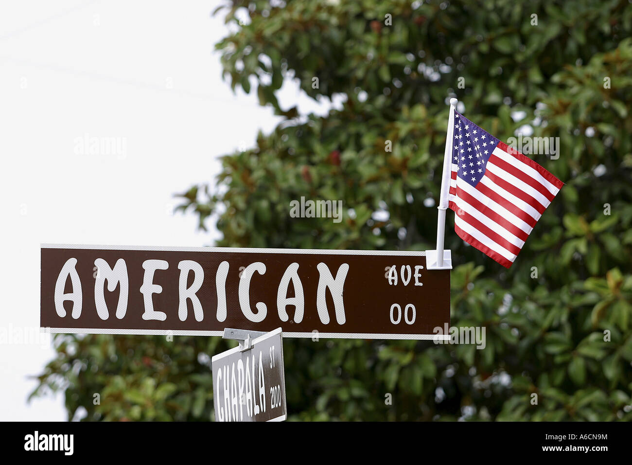 Flag of the United States of America on a sign Stock Photo - Alamy