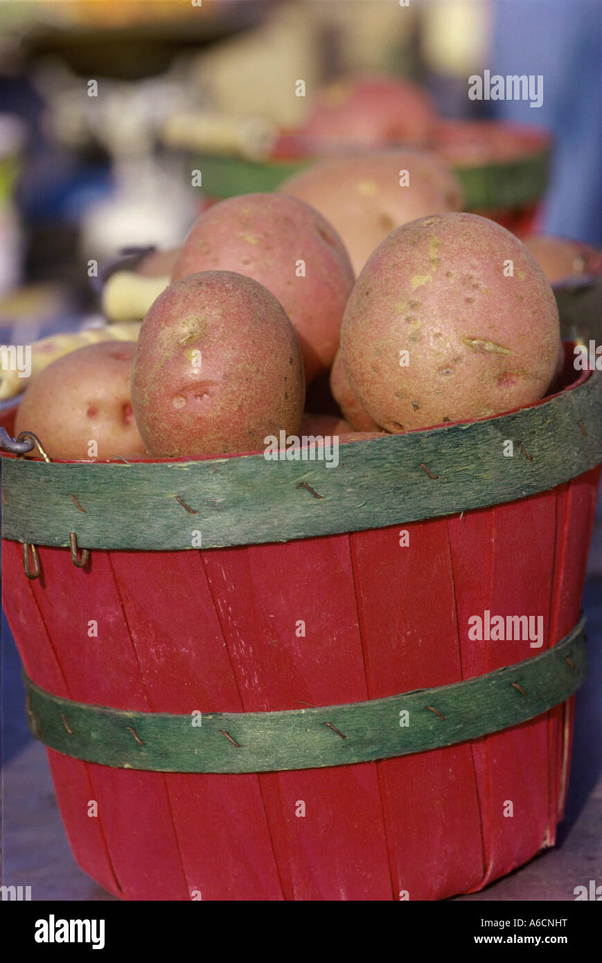 Close-up of potatoes in a wooden bucket Stock Photo - Alamy