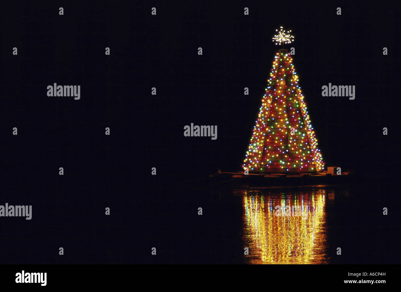 Illuminated Christmas tree at night Stock Photo - Alamy