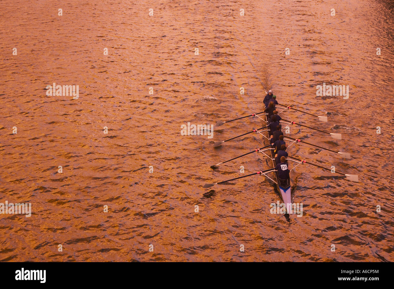 Overview of Rowing Stock Photo - Alamy