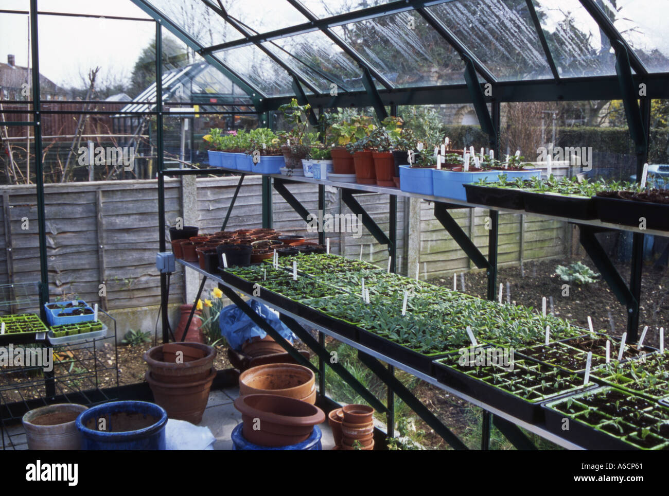 Greenhouse interior hi-res stock photography and images - Alamy
