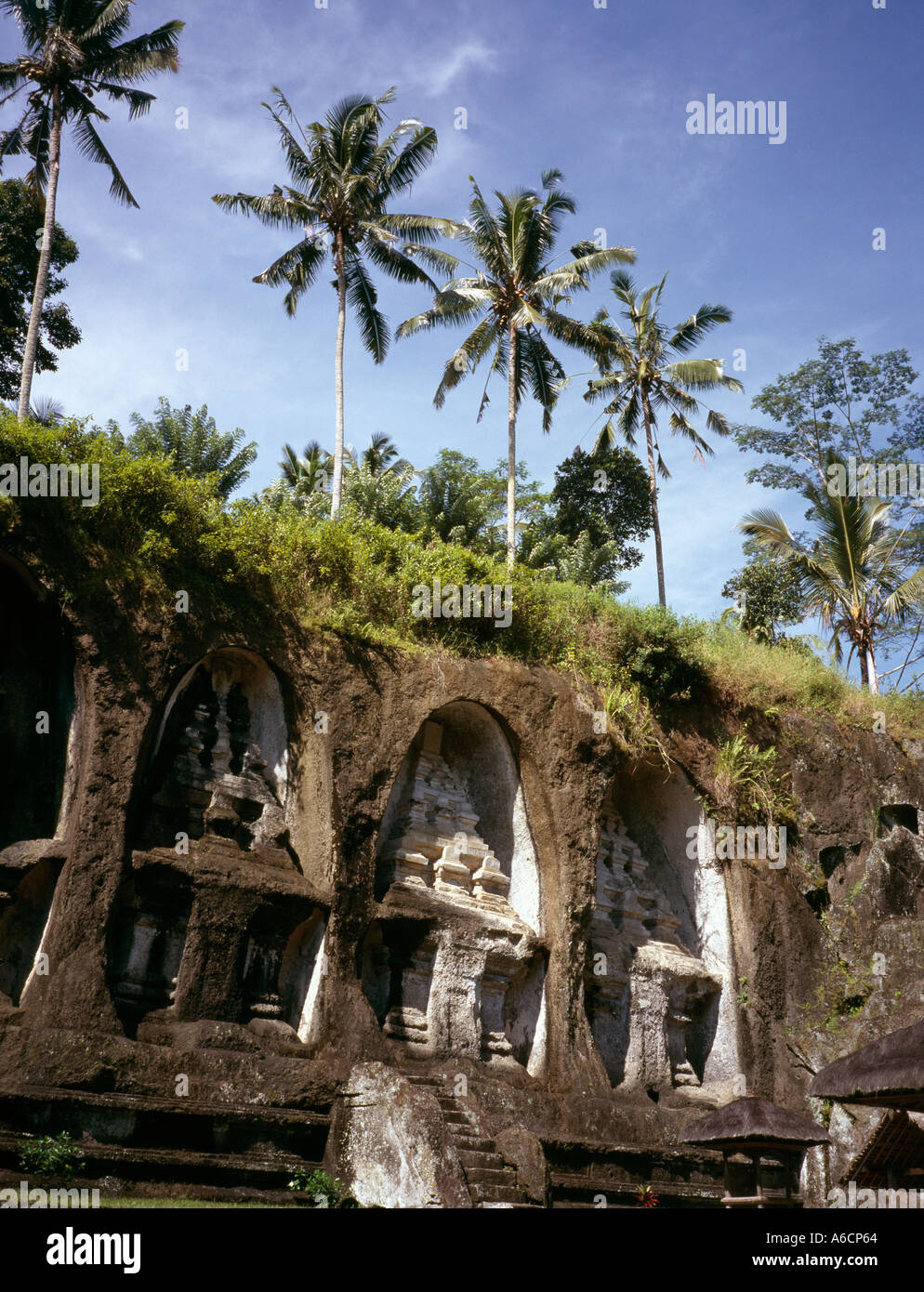 Marakata hi-res stock photography and images - Alamy